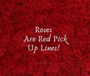 100+ Roses Are Red Pick Up Lines Rizz (Funny and Sweet)