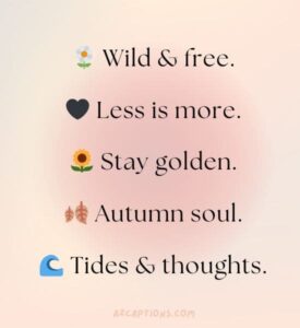 100 Aesthetic Bio for Instagram That Make Your Profile Shine